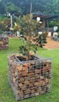 24 Delightful Gabion Plant Stand Ideas for Your Outdoor Oasis