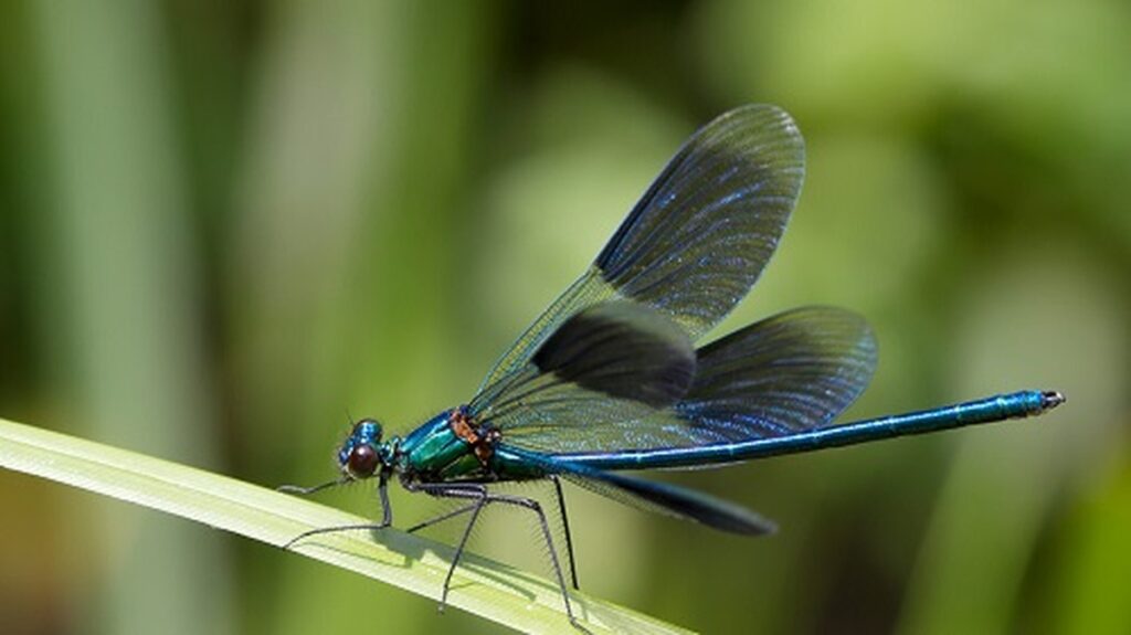 20 Surprising Garden Insects That Actually Help Your Plants Thrive