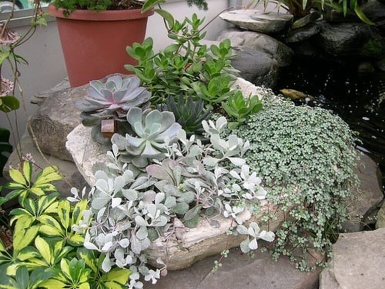 24 Easy DIY Container Water Garden Ideas to Try