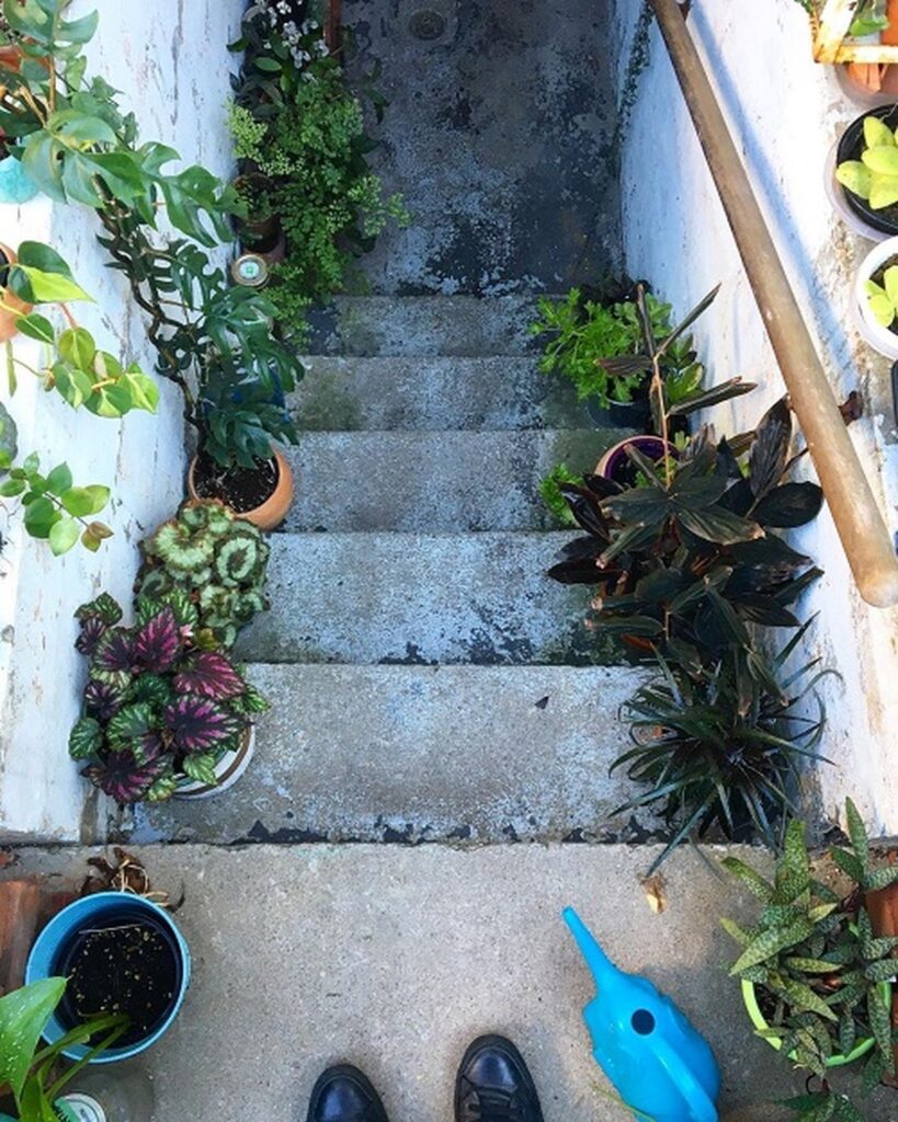 20 Stunning Plants for Steps and Staircases That Transform Space