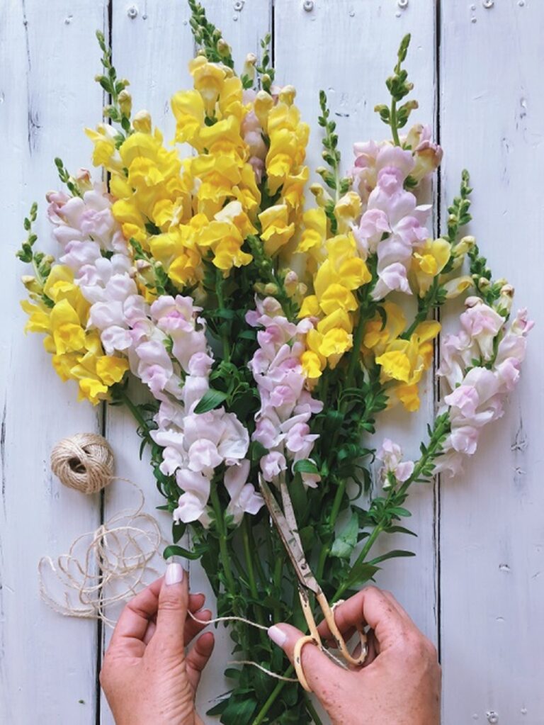 24 Gorgeous Flowers to Bring on Your First Date