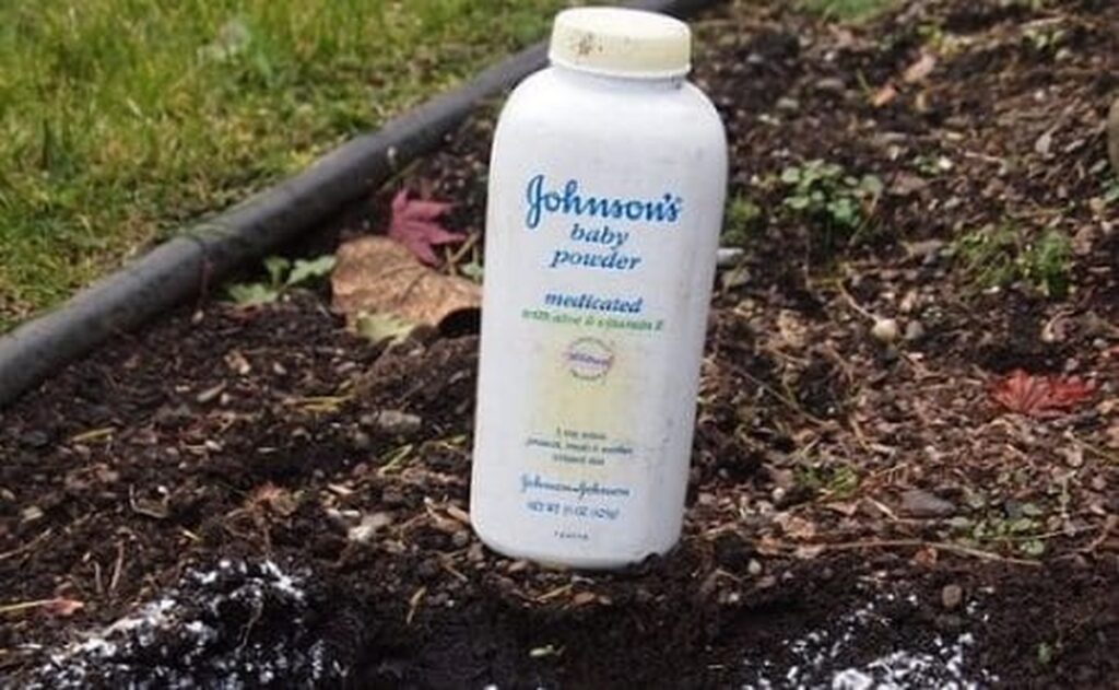 17 Brilliant Gardening Hacks For Beginners That Actually Work