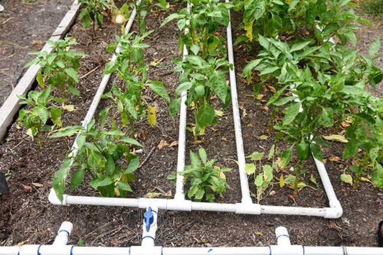 18 Brilliant DIY Drip Watering Systems for the Garden