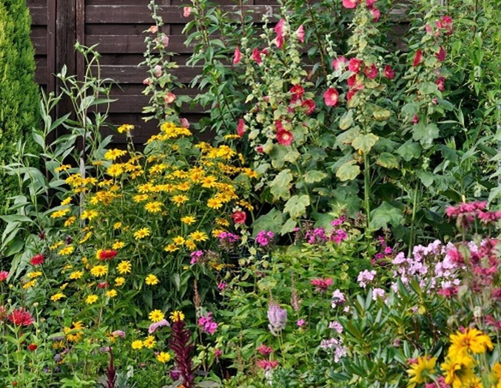 26 Beautiful Perennial Combinations That Transform Gardens