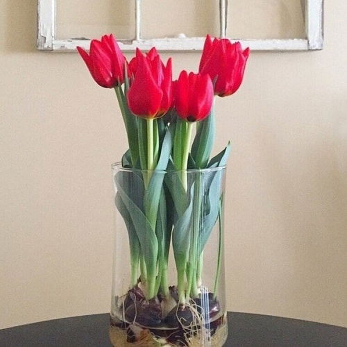 10 Beautiful Water Flowers for Containers and Vases