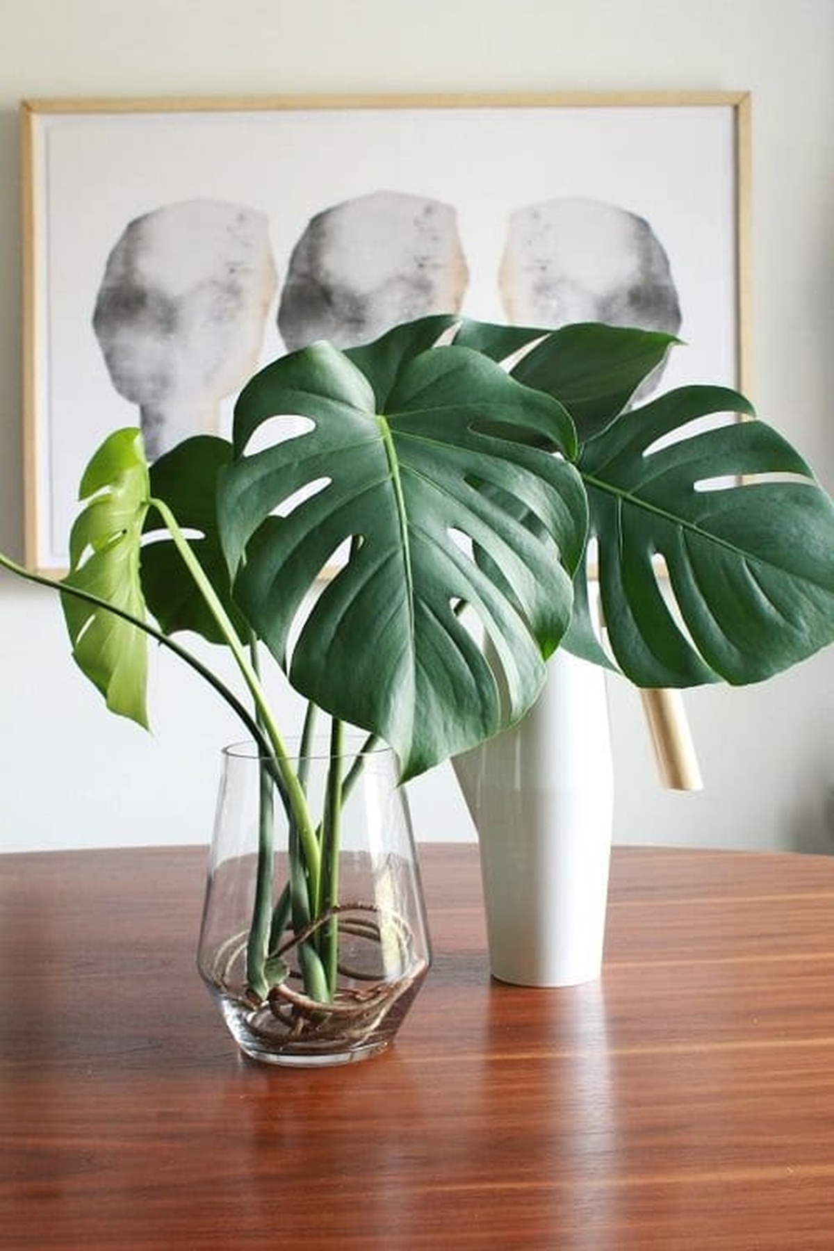 9 Refreshing Water-Grown Plants for Your Home Office Space