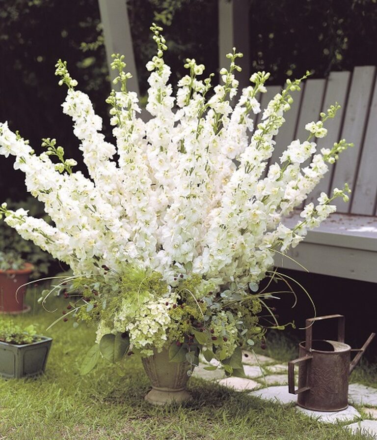 22 Beautiful Greek Flowers to Brighten Your Garden Today