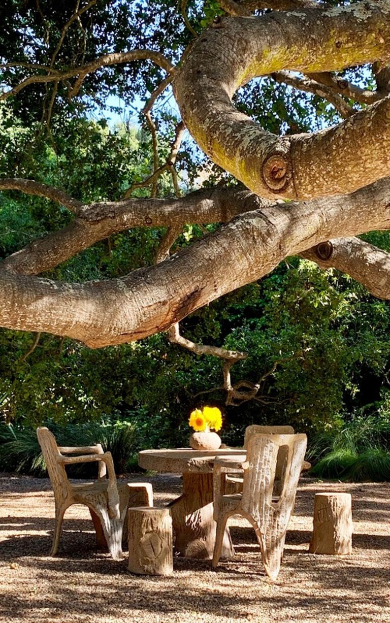 20 Delightful DIY Tree Projects To Transform Your Backyard