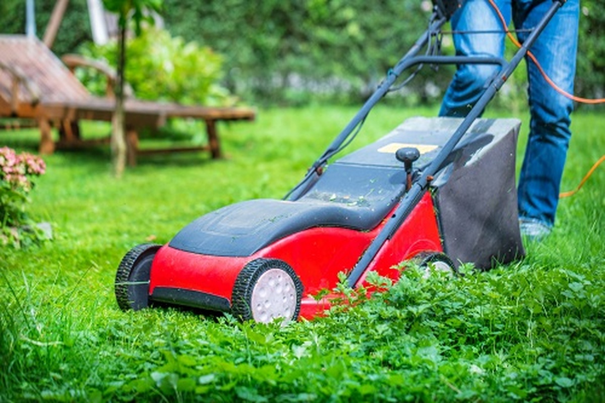 13 Super Effective Lawn Care Tips For A Dreamy Green Yard