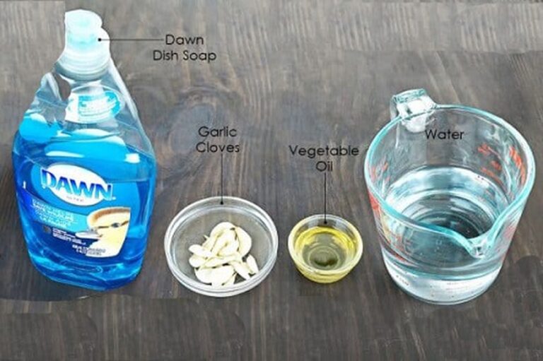 10 Effective Homemade DIY Fungicide Recipes for Plants