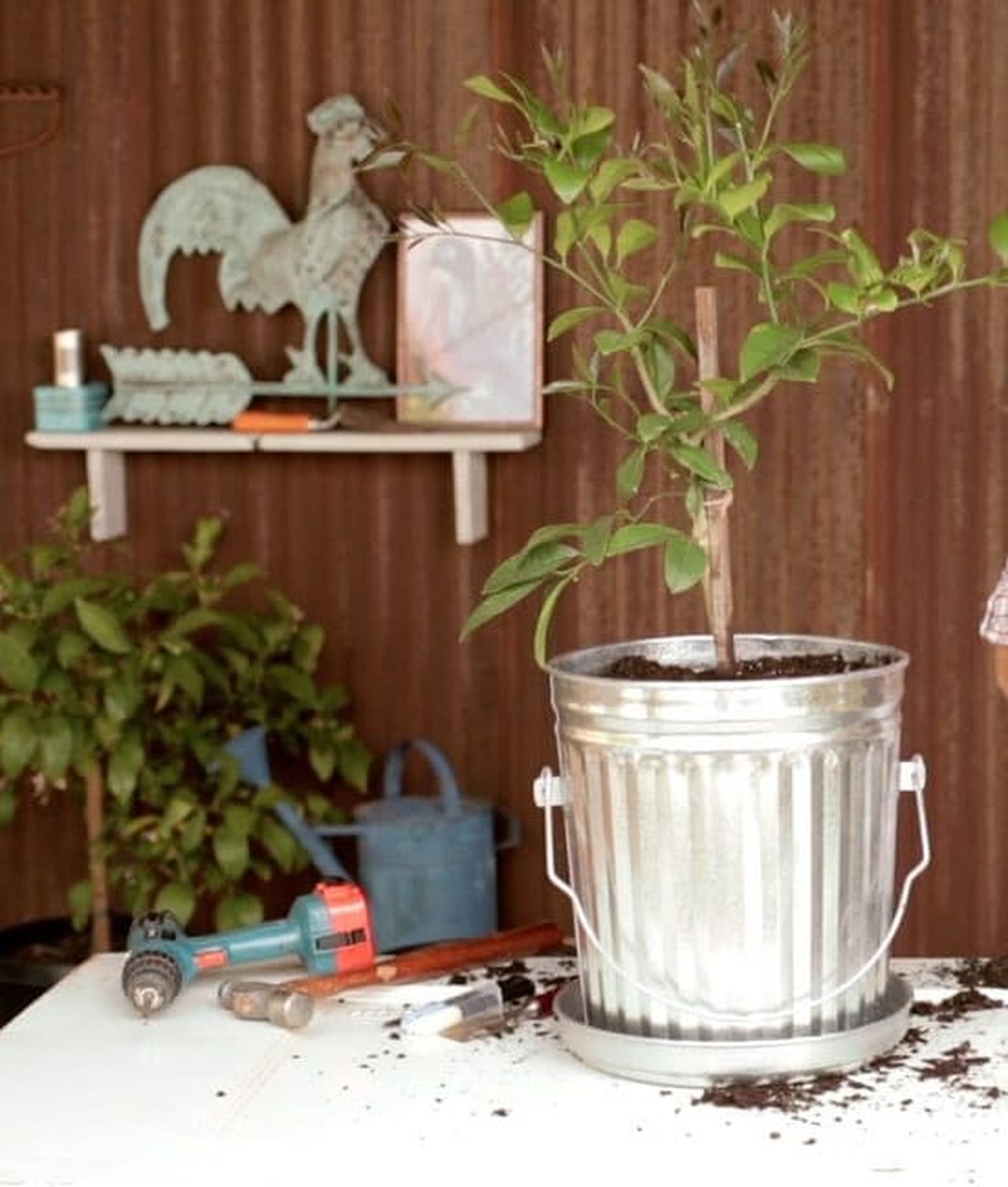 10 Affordable DIY Dustbin Planters That Transform Any Space