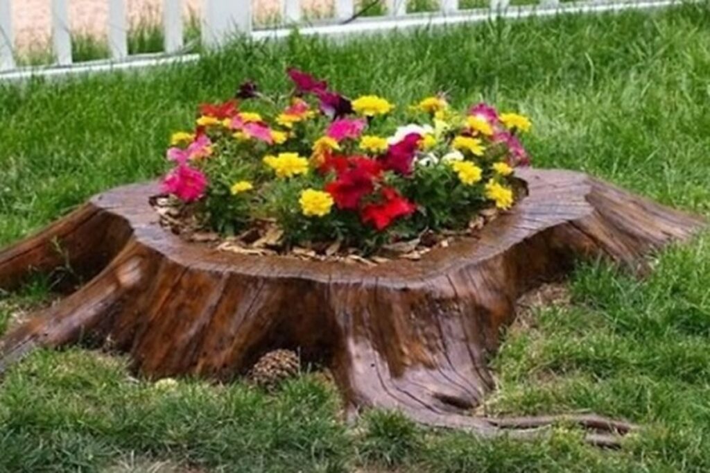 30 Brilliant Tree Stump Ideas for the Garden to Transform Your Space