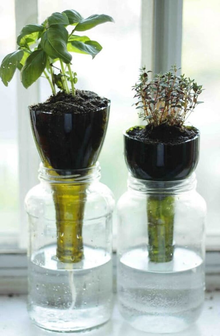 16 Brilliant Self Watering Hacks for Effortless Plant Care