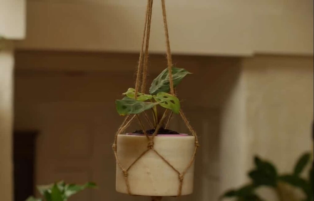 24 DIY Rope Plant Hanger Ideas for Your Green Oasis