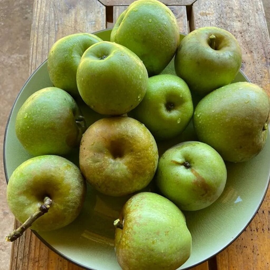 31 Delicious Green Apple Varieties to Taste This Season