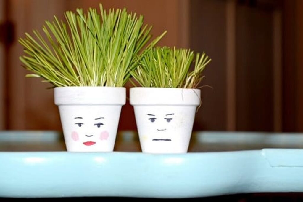 20 Simple DIY Face Planters to Make at Home in Minutes