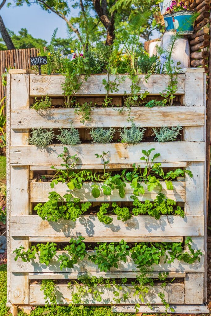 15 Delicious Edible Living Wall Ideas for Small Spaces