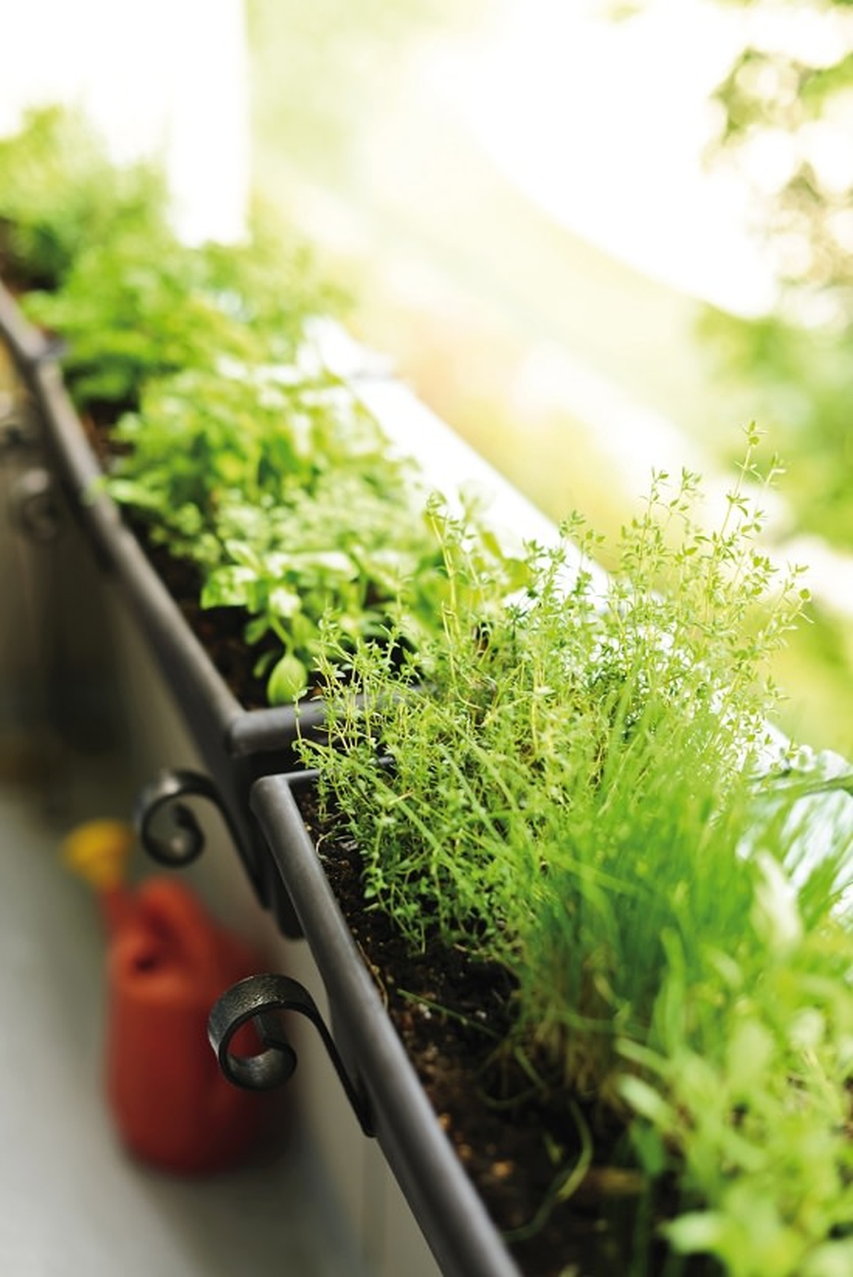 6 Stunning Urban Herb Gardens That Need No Space!