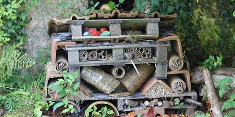 18 Cozy DIY Bug Hotel Plans to Welcome Tiny Garden Friends