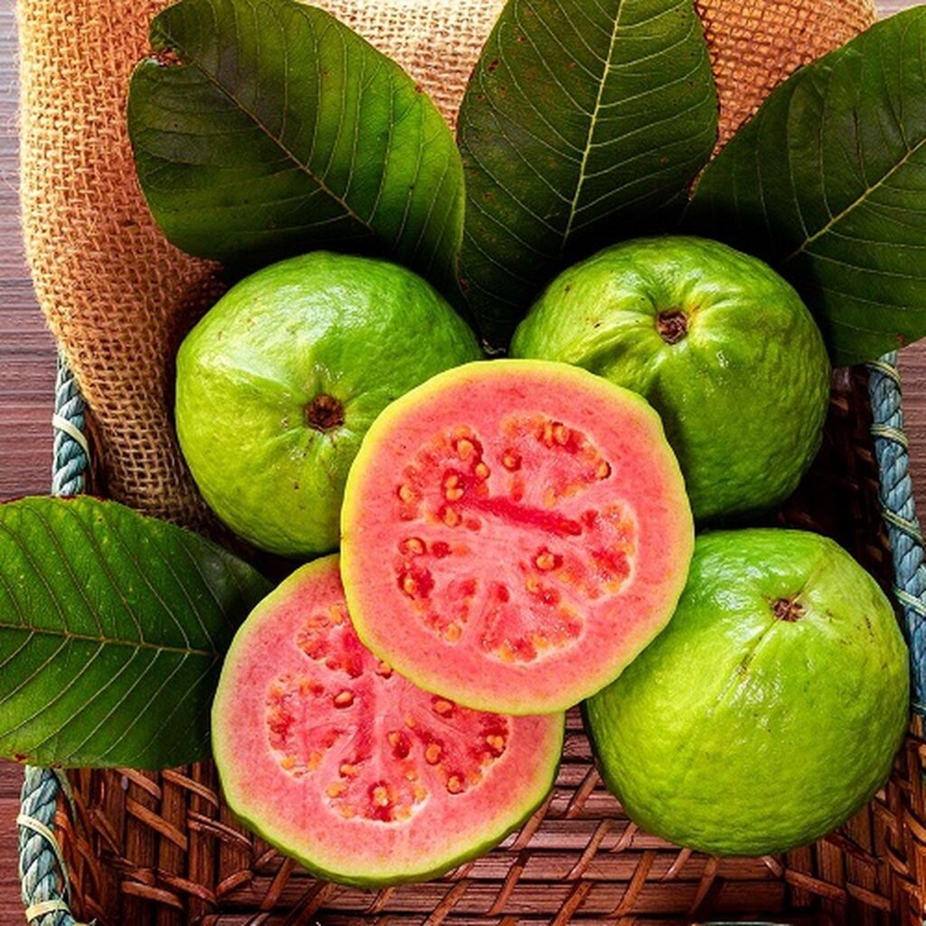 9 Delicious Red and Pink Guava Varieties to Try Today