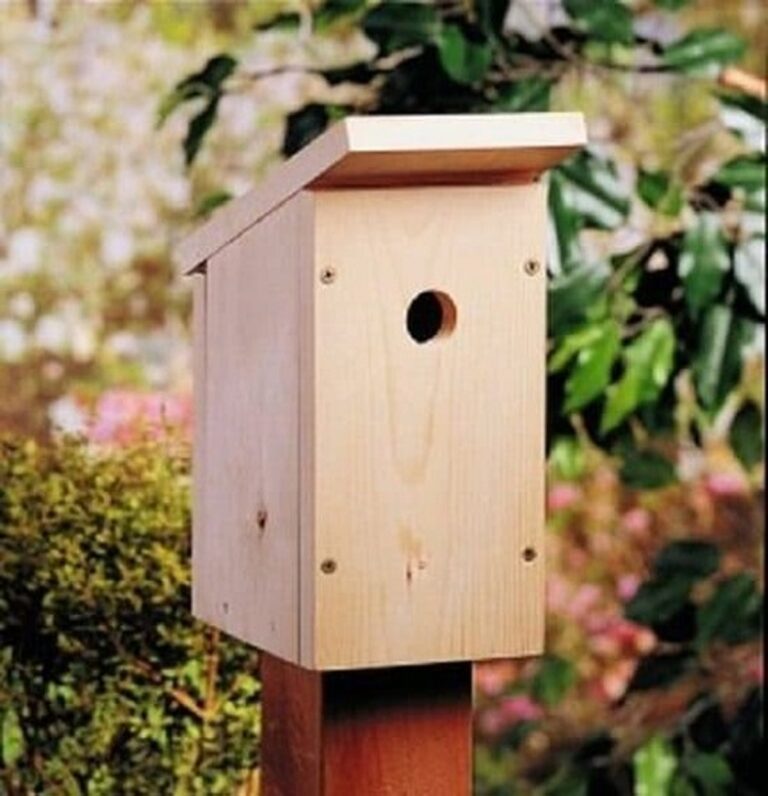 53 Charming DIY Birdhouse Ideas That Transform Your Garden