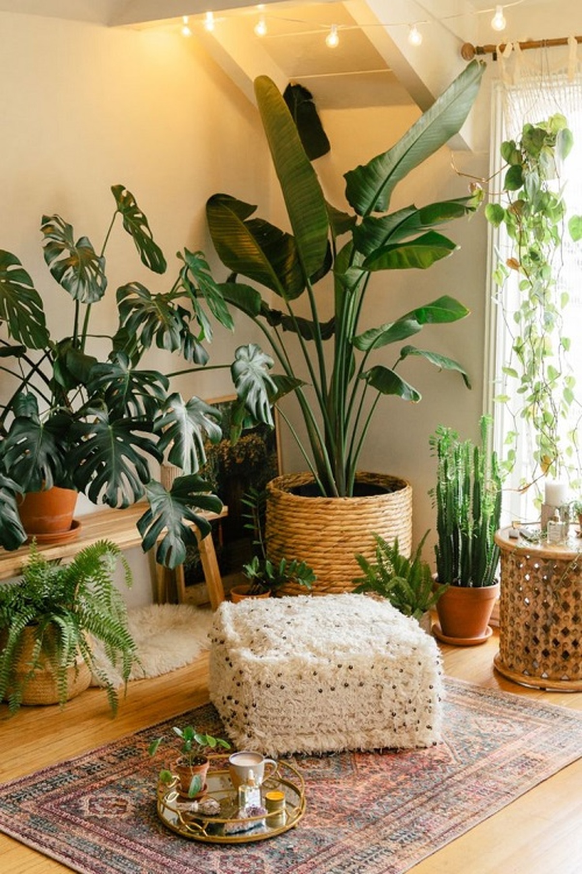 12 Gorgeous Ways to Create a Lush Indoor Garden at Home