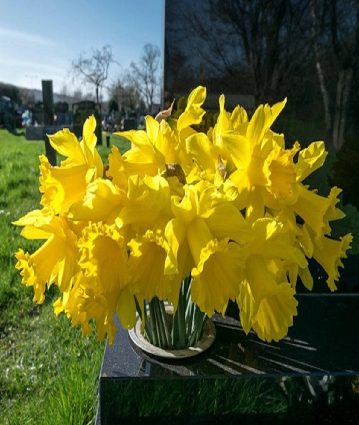 13 Beautiful Flowers that Represent Death: A Meaningful Journey