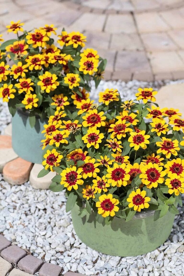 26 Stunning Gold Flowers That Add Luxury To Any Garden