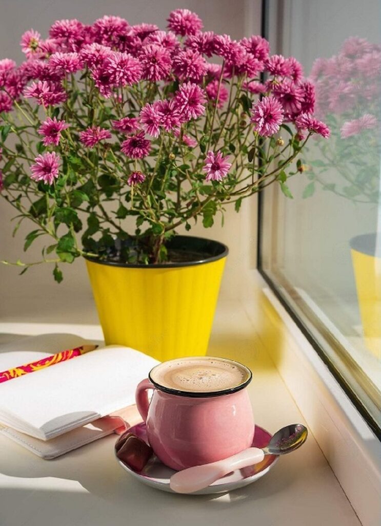 35 Fascinating Flower Meanings That Speak Love and Emotion