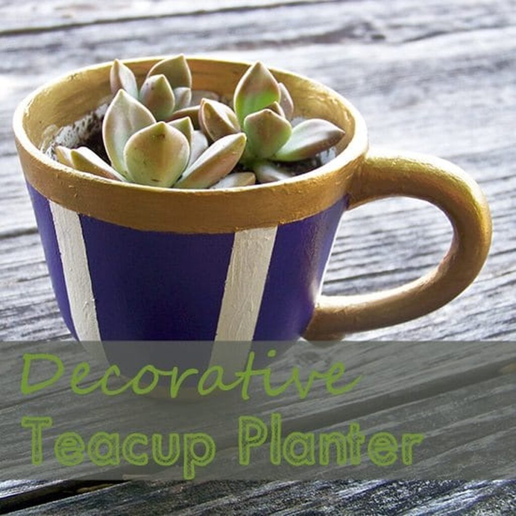 31 Adorable DIY Teacup Garden Ideas Everyone Will Love