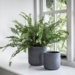 27 Stunning Ways IKEA Pots Transform Your Indoor Plants