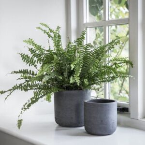 27 Stunning Ways IKEA Pots Transform Your Indoor Plants