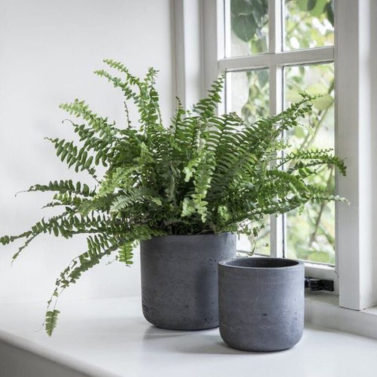 27 Stunning Ways IKEA Pots Transform Your Indoor Plants
