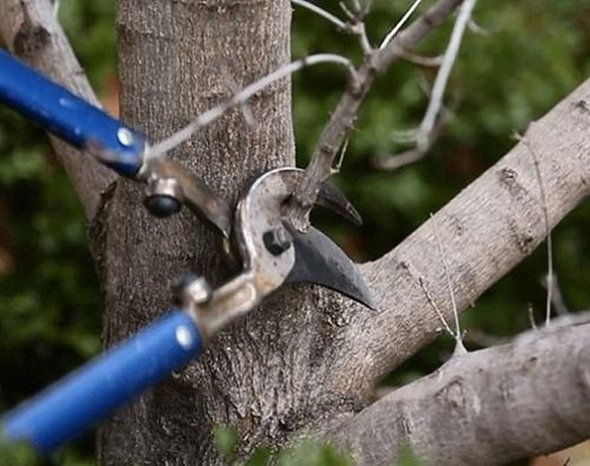 10 Delightful Things to Do in March in the Garden - Spring Awaits!