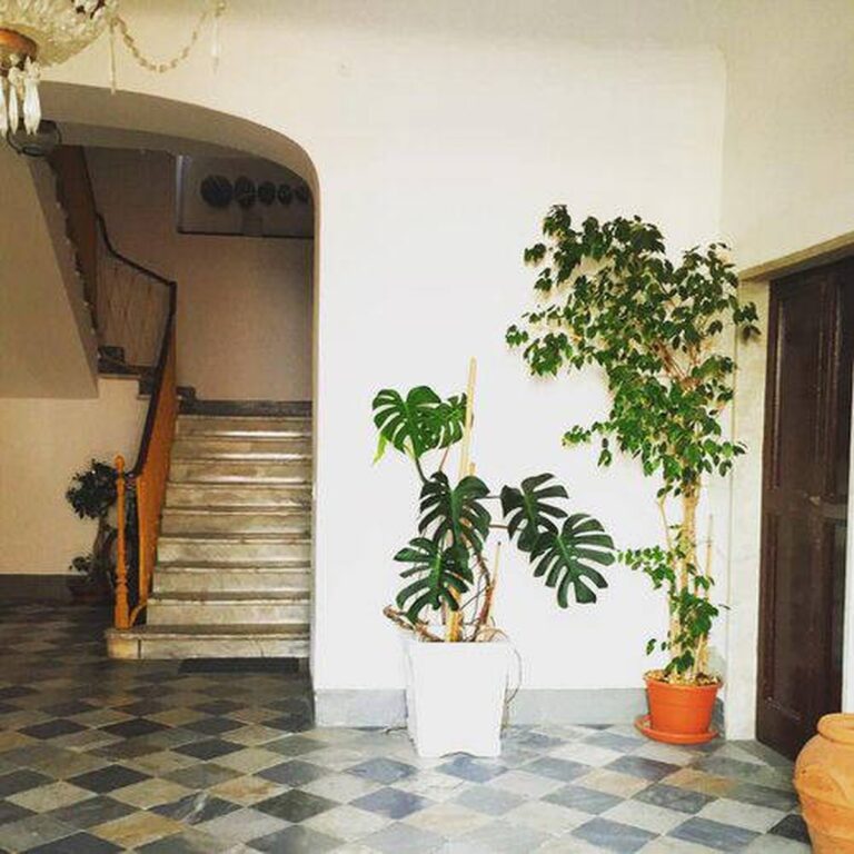 32 Stunning Entryway Decor Ideas With Plants That Welcome Home