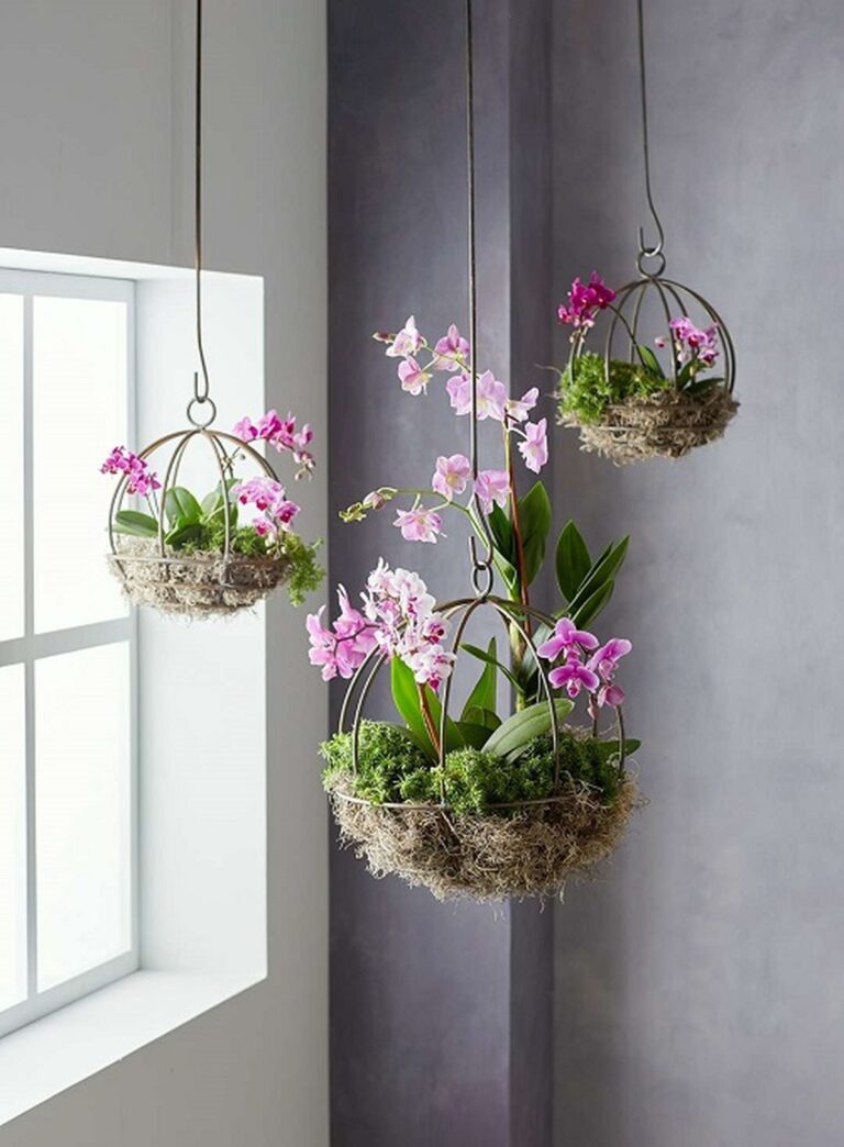 33 Gorgeous Hanging Plants for Front Windows to Brighten Your Home