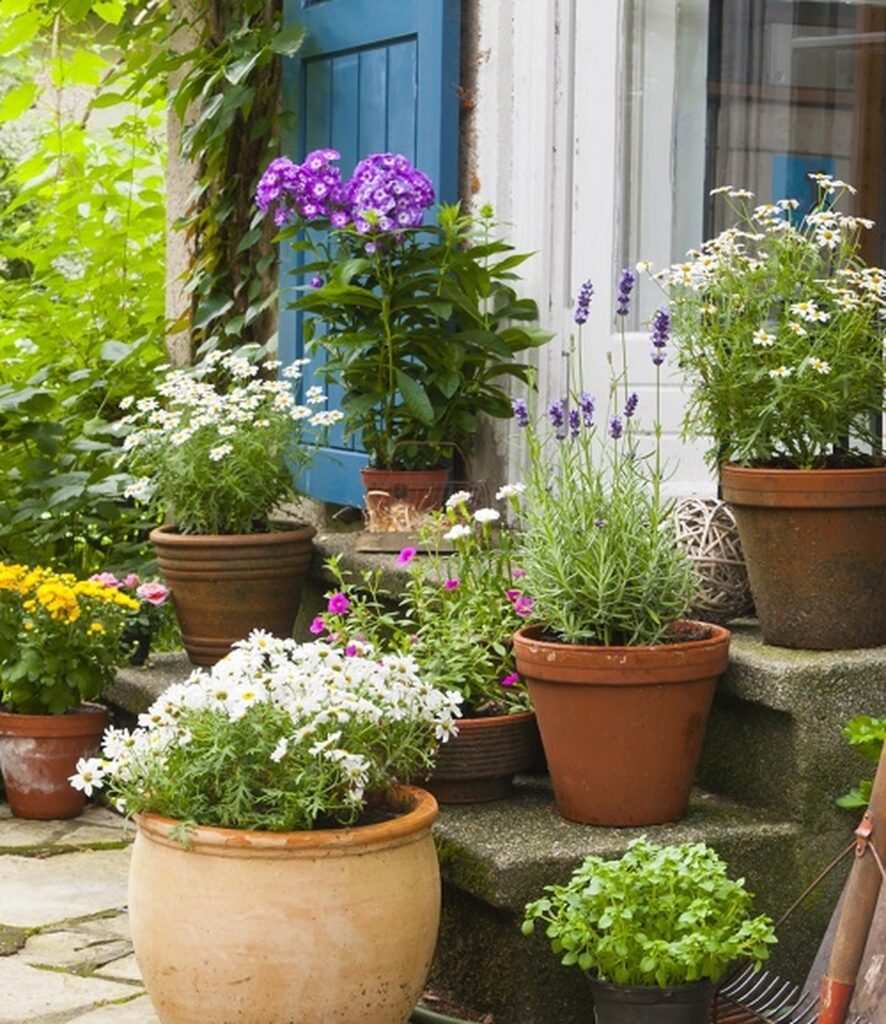 14 Simple Container Garden Design Ideas for a Lovely Outdoor Space