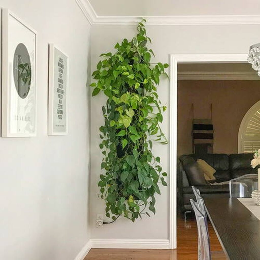 28 Stunning Indoor Vine Wall Ideas for a Fresh Modern Home
