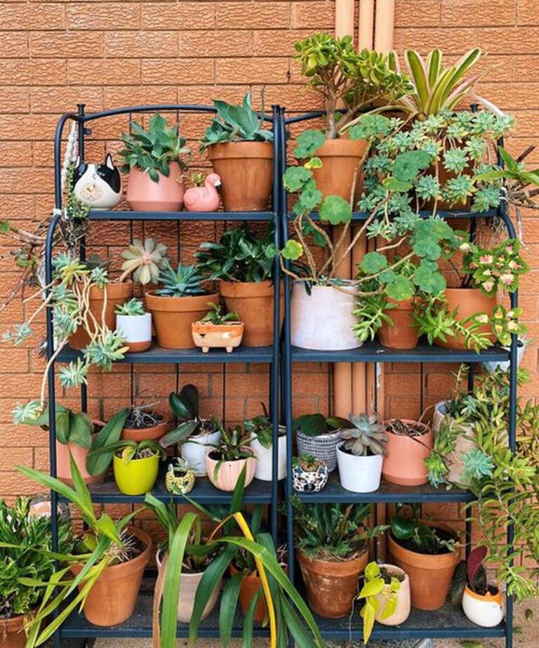28 Genius Garden Plant Shelf Ideas to Brighten Your Outdoor Space