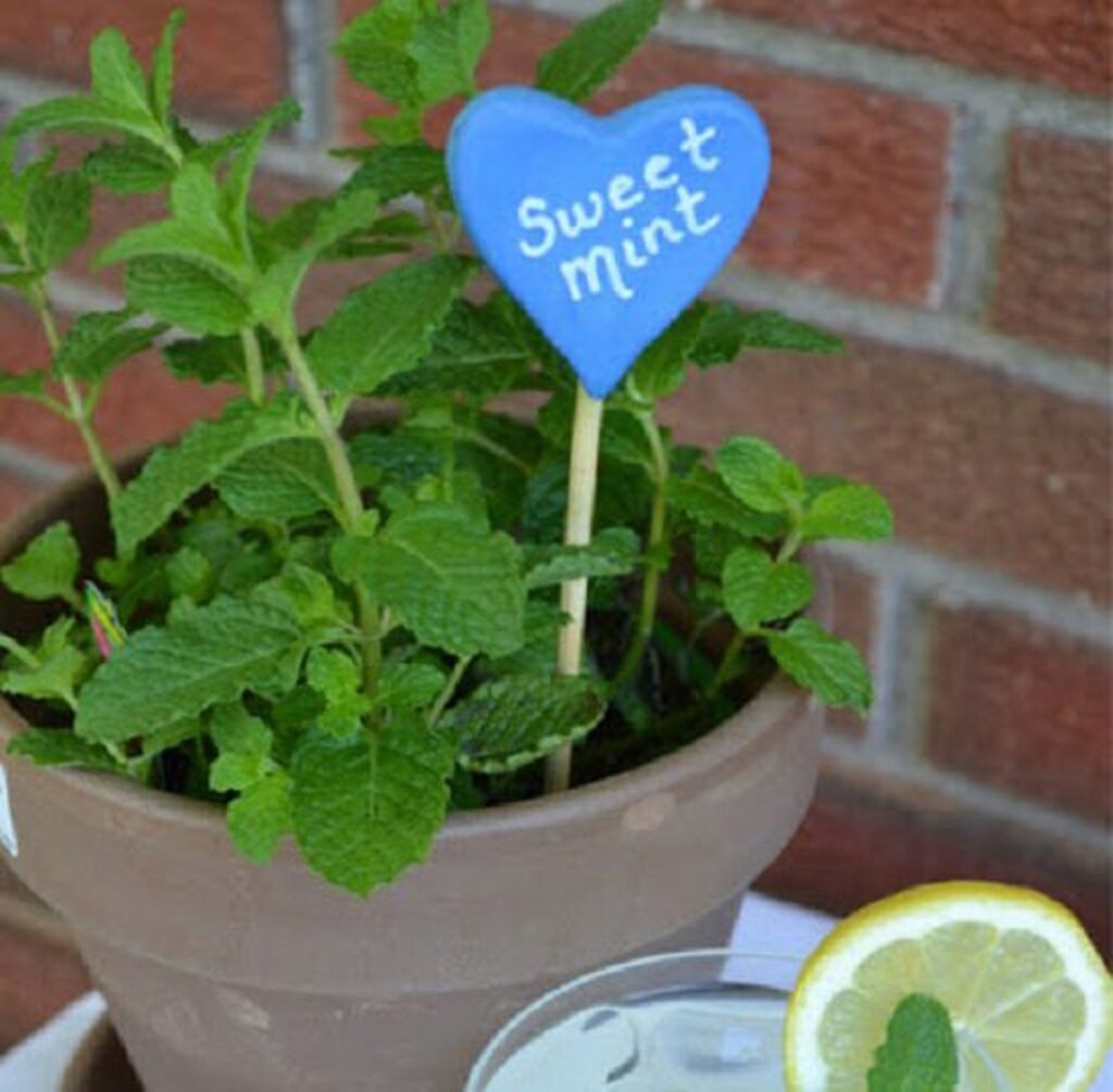 23 Amazing DIY Garden Stake Ideas That Spark Joy