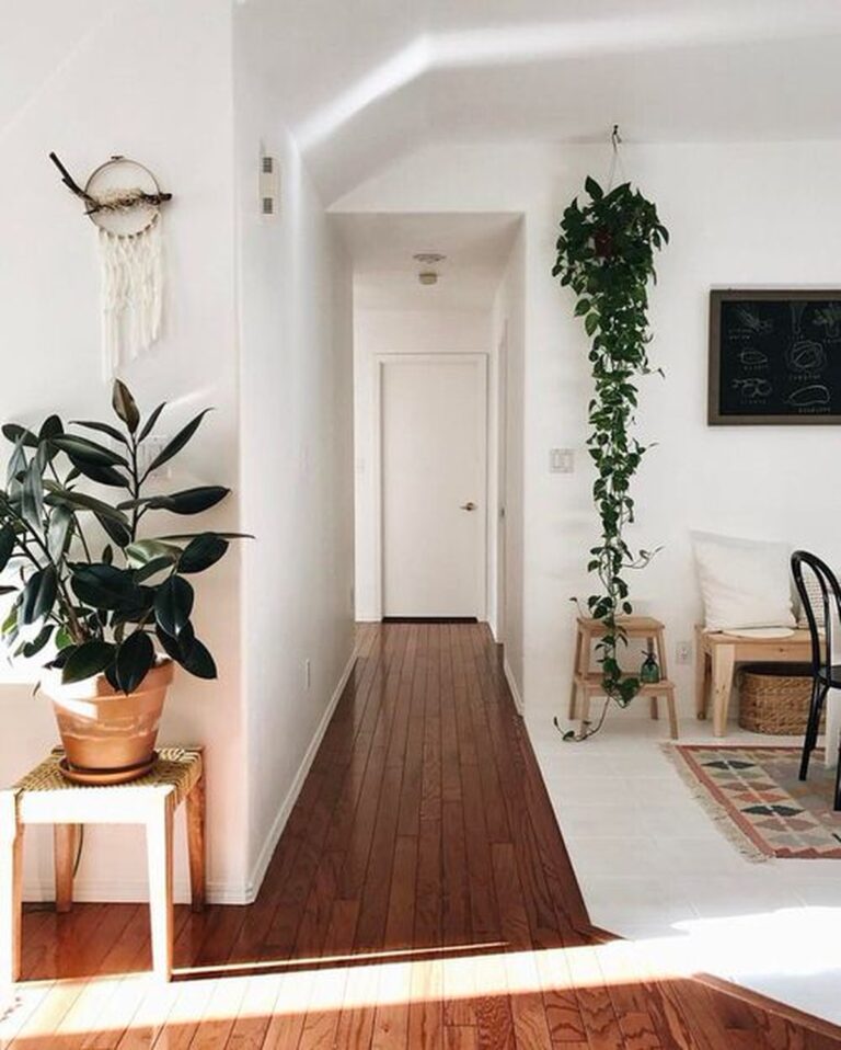 40 Stunning Indoor Plant Ideas for Large Rooms to Transform Your Space