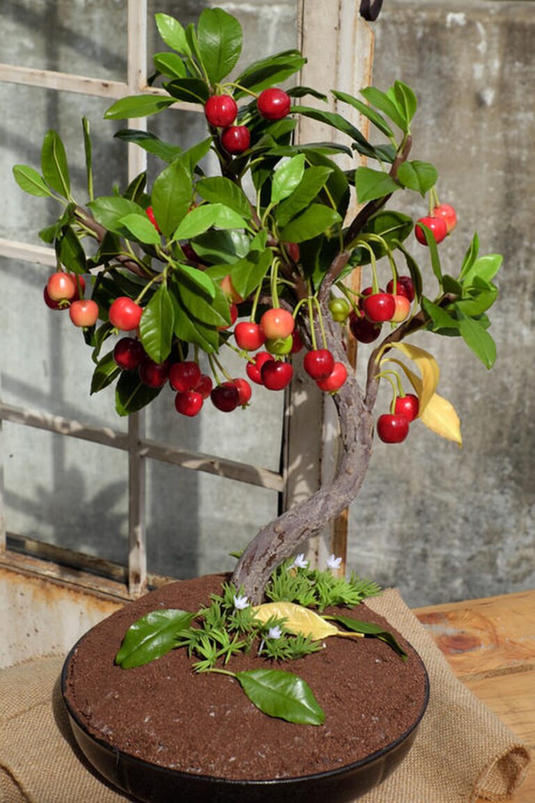17 Charming Dwarf Fruit Trees Under 6 Feet for Small Spaces