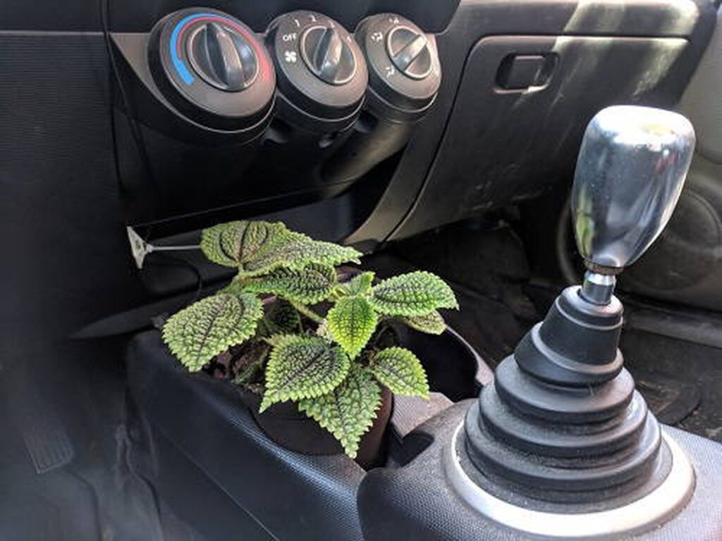 16 Brilliant Car Gardening Ideas to Make Your Ride Bloom