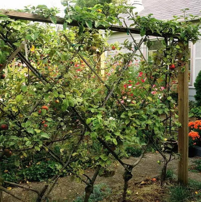 40 Charming Ways to Display Vines Both Indoors and Outdoors