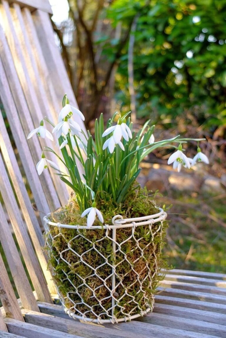 31 Amazing Small Flowers That Will Brighten Your Garden