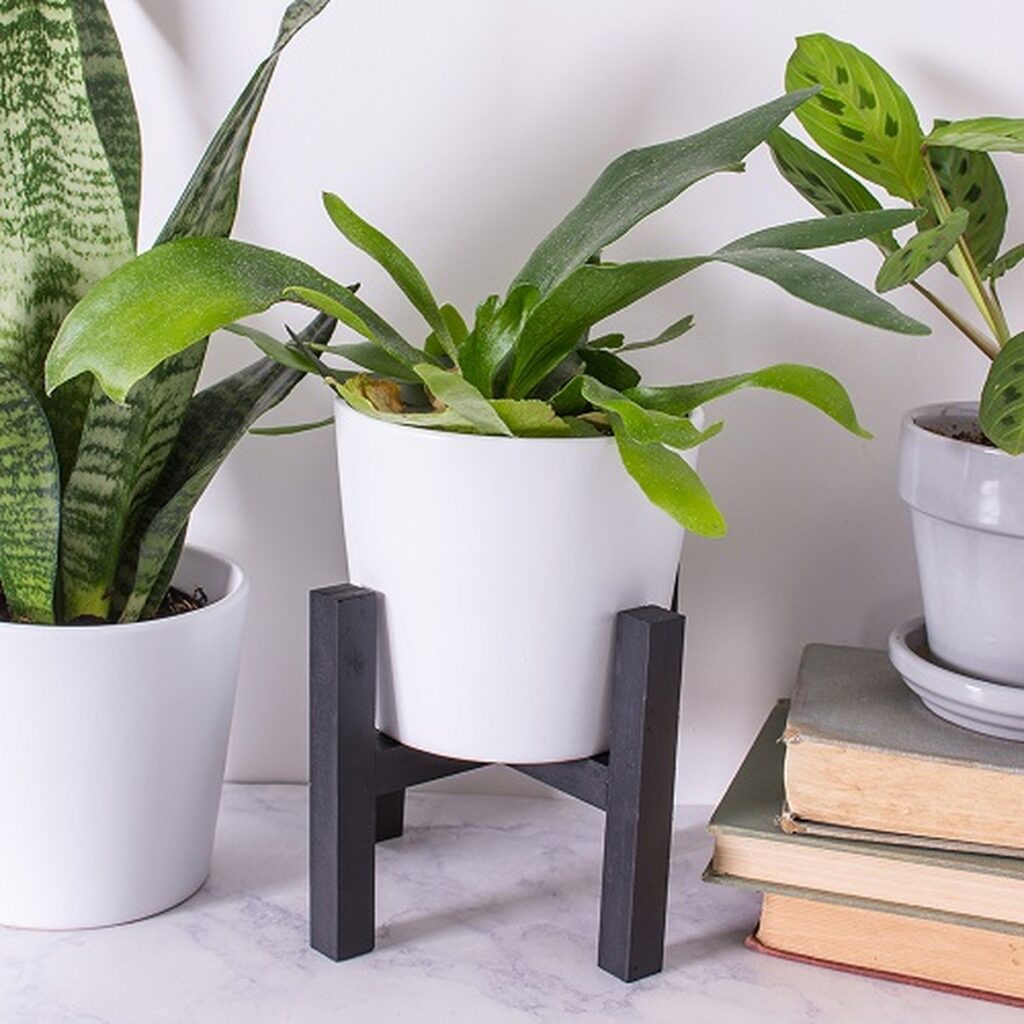 28 Charming DIY Plant Risers for Indoor Plants That Wow Guests