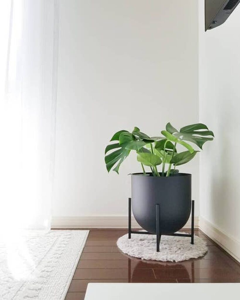 27 Stunning Ways IKEA Pots Transform Your Indoor Plants