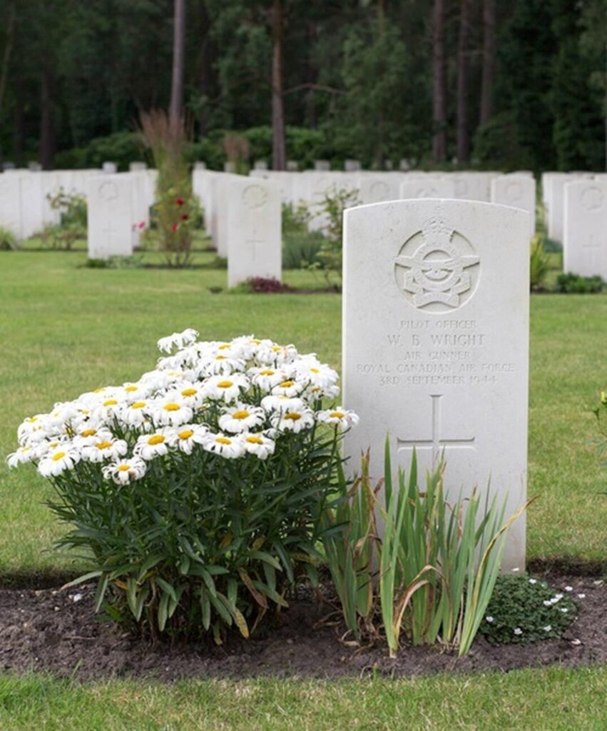 20 Beautiful Flowers for Graves and Cemeteries: Honor Loved Ones