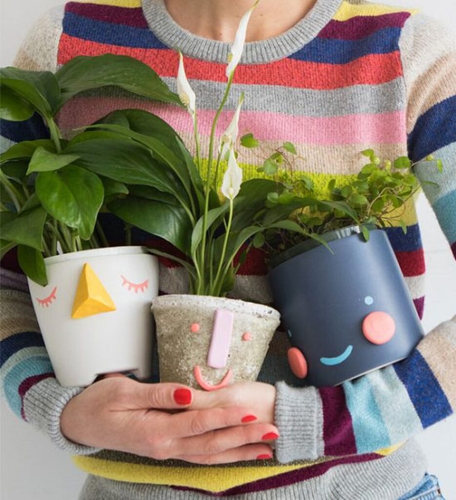 20 Simple DIY Face Planters to Make at Home in Minutes