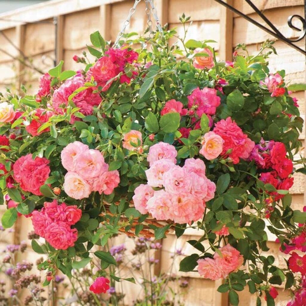 21 Gorgeous Hanging Basket Plant Ideas for a Lush Garden